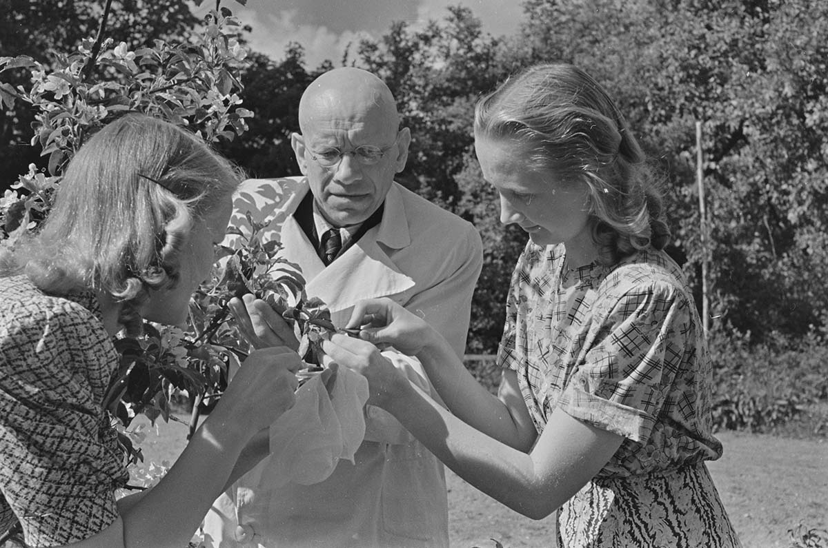 Iluõu­na­puu Keh­ras sün­di­nud õpe­ta­ja AUGUST VAGA auks - Sõnumitooja